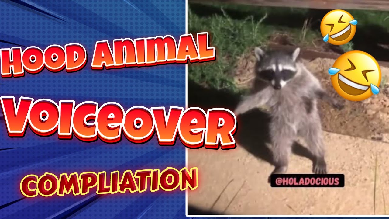 Hood Animal Voiceovers EP. 35 - YouTube