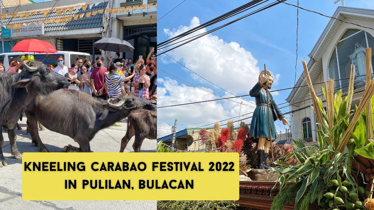 Carabao Festival 2022