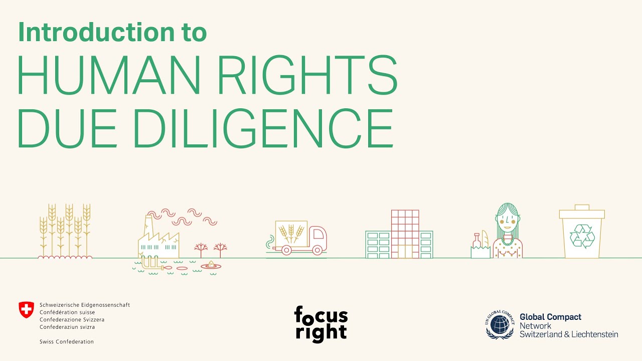 Introduction To Human Rights Due Diligence Youtube