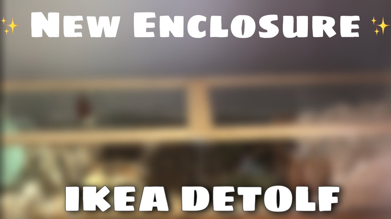 Setting up my New Gerbil Cage | IKEA Detolf - YouTube