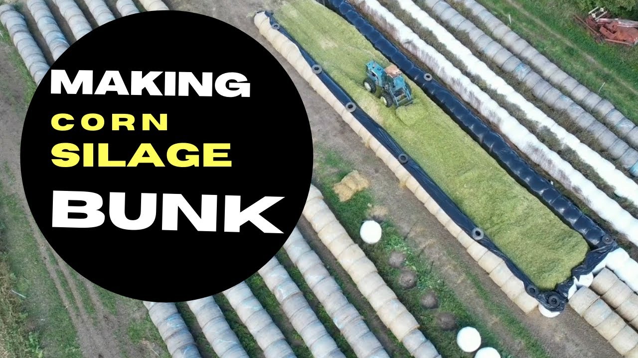 Making a Corn Silage Bunk. Harvested then packed into a bunk to provide ...