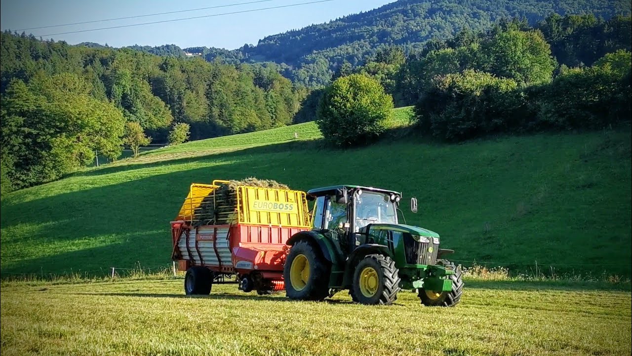 3rd Cut Hay for Dairy Cows on a Small Family Farm - YouTube