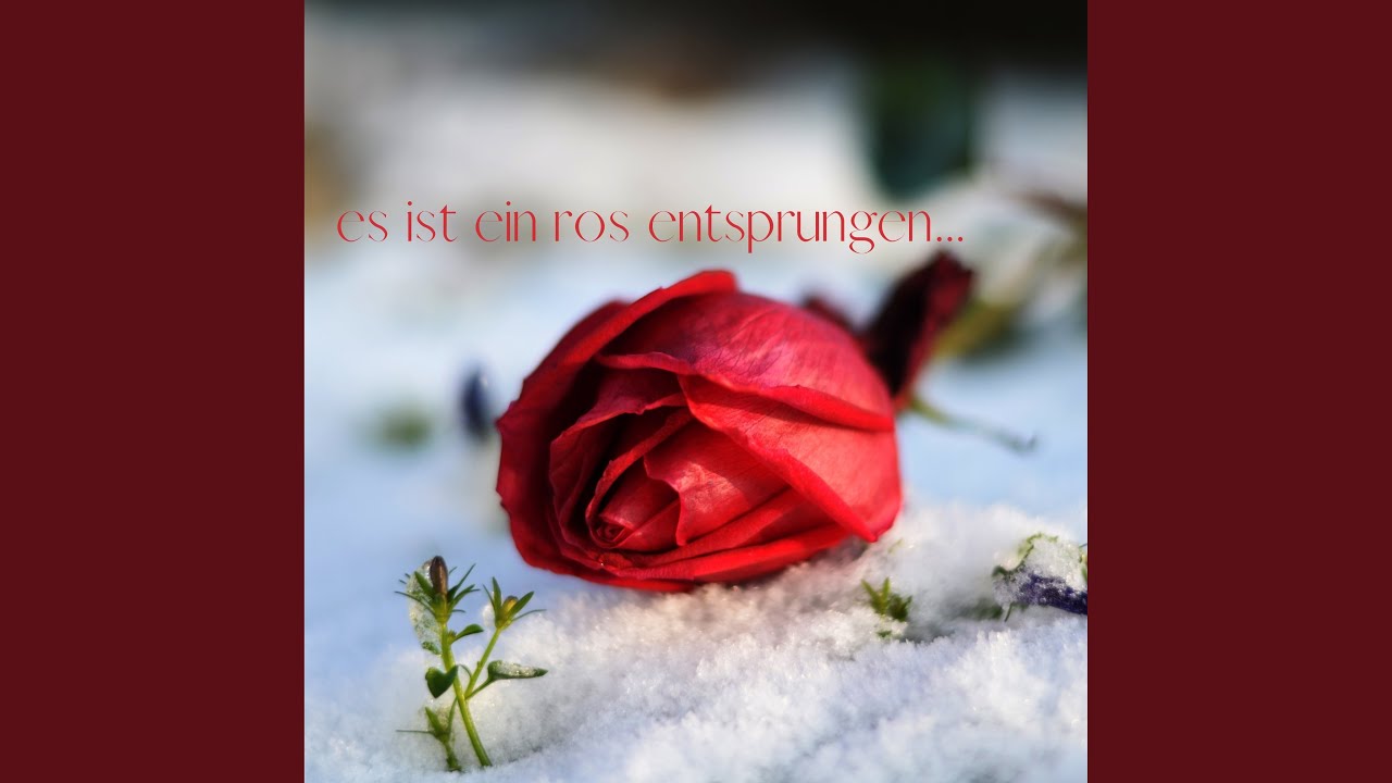 Es ist ein Ros entsprungen (A rose has sprung) (German Christmas Song ...