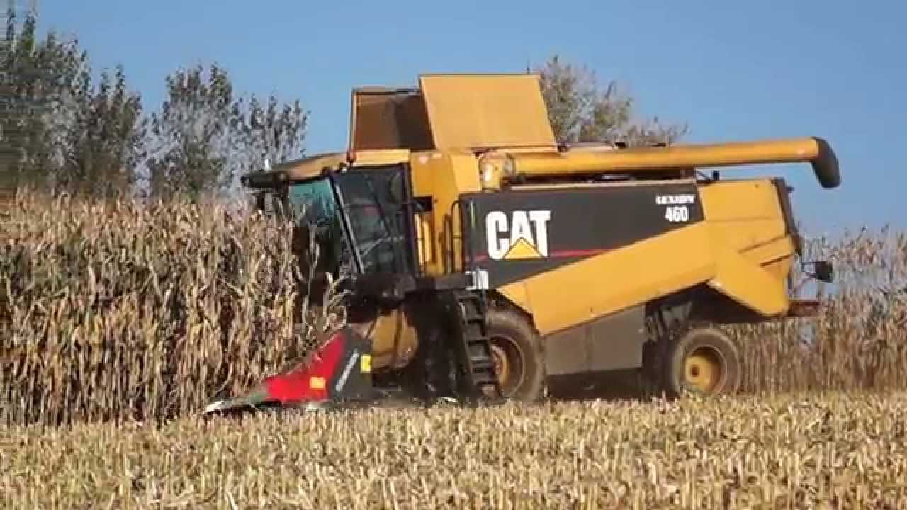 CAT Lexion 460 - żniwa kukurydziane 2014 - CCM w OHZ Osiek - YouTube