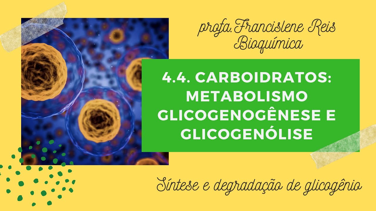 4.4. CARBOIDRATOS: Metabolismo - GLICOGENÓLISE E GLICOGENOGÊNESE - YouTube