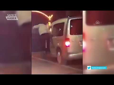 Adana'da trafikte kapıyı açıp dans eden trafik magandası yakalandı