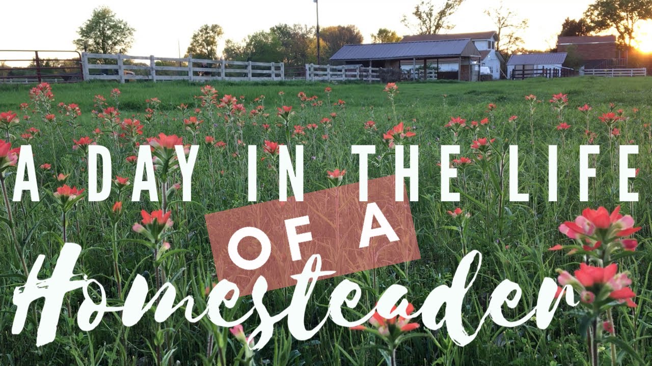 A Day In The Life Of A Homesteader Collab - YouTube