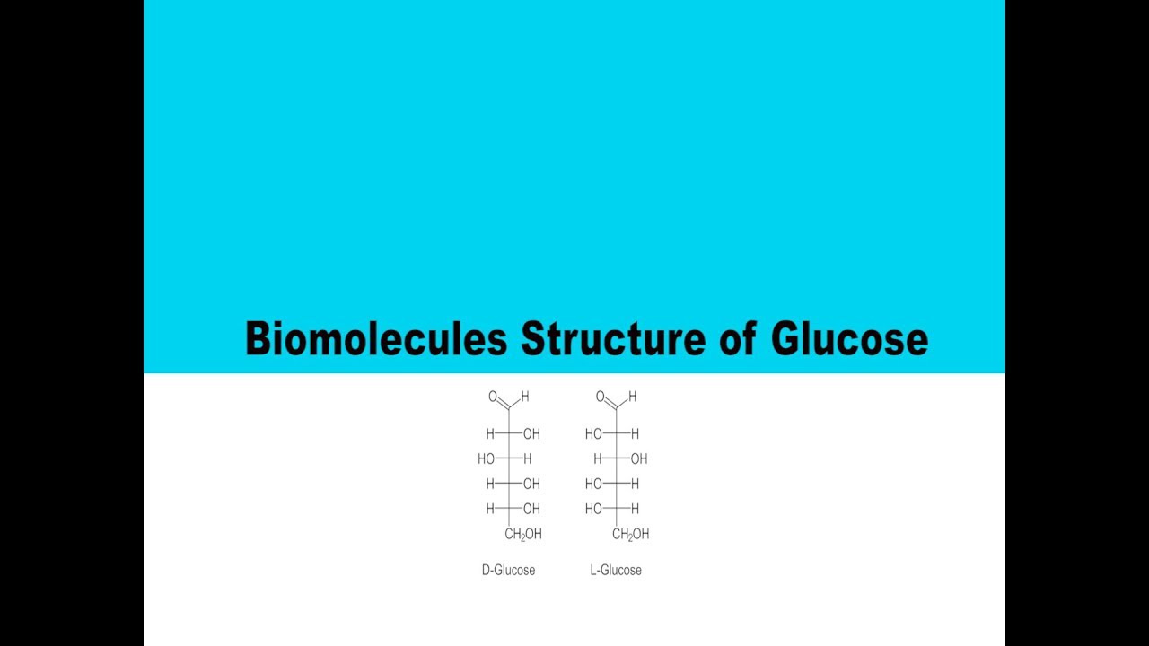 Bio molecules Structure of glucose chemistry epi 5 - YouTube