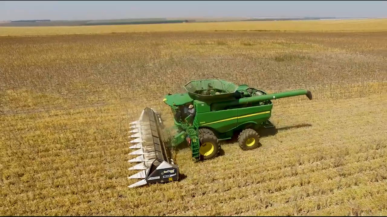 NARDI MCSR MULTICROP HEADER. HARVESTING OF CASTOR BEAN SEEDS - YouTube