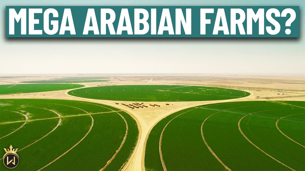 How Saudi Arabia Is Turning Its Desert Into Farmland - YouTube
