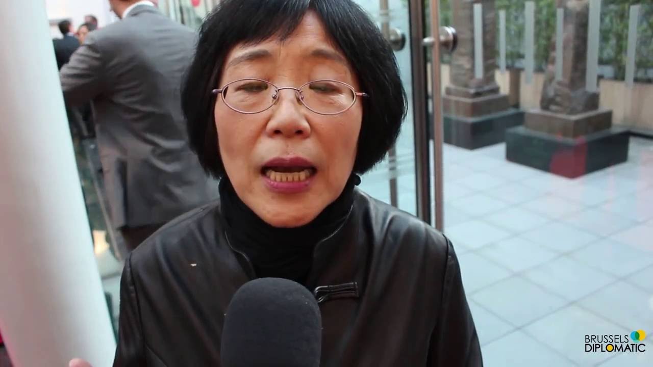 China Ambassador to the EU, Mrs.Yang Yanyi - YouTube