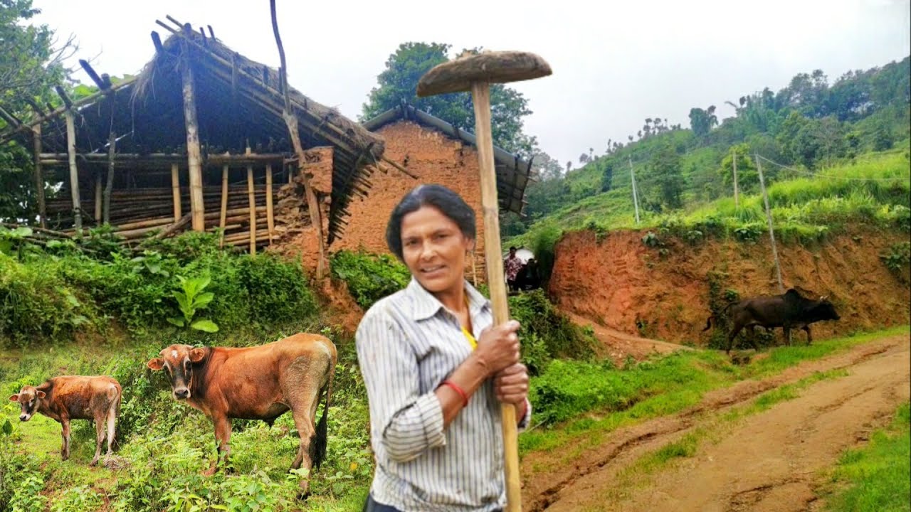 Traditional Rural Village Lifestyle | Kashini | BijayaLimbu - YouTube