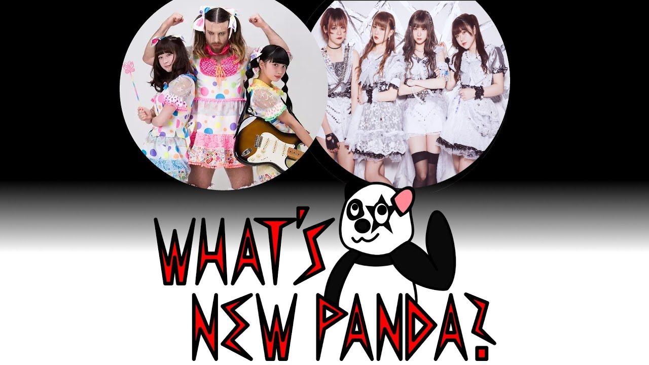 What`s new Panda? Folge 004 - Alles rund um "Ladybaby" - YouTube