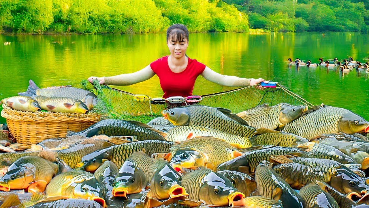 Rewind Timelapse - Harvesting A Lot Of Big Fish Goes To Market Sell ...