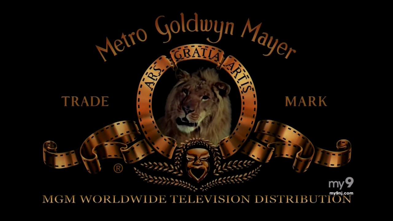 Metro Goldwyn Mayer/MGM Worldwide Television Distribution (1993/2010 ...