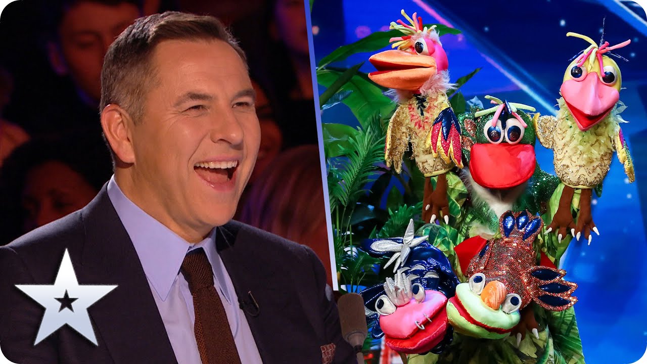 FLYING HIGH: Birds of Paradise bring the PARTY to the BGT stage ...