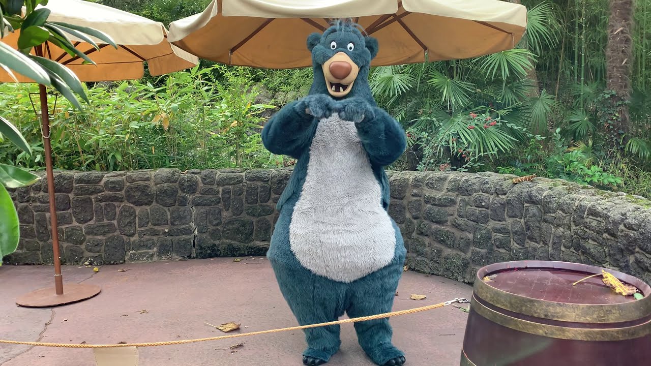 °o° Baloo is always happy to meet you ! - YouTube