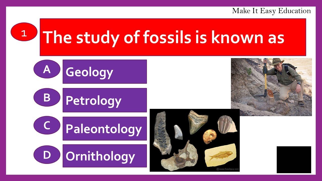 SCIENCE QUIZ || TEST 25 || SCIENCE AND TECHNOLOGY QUIZ - YouTube