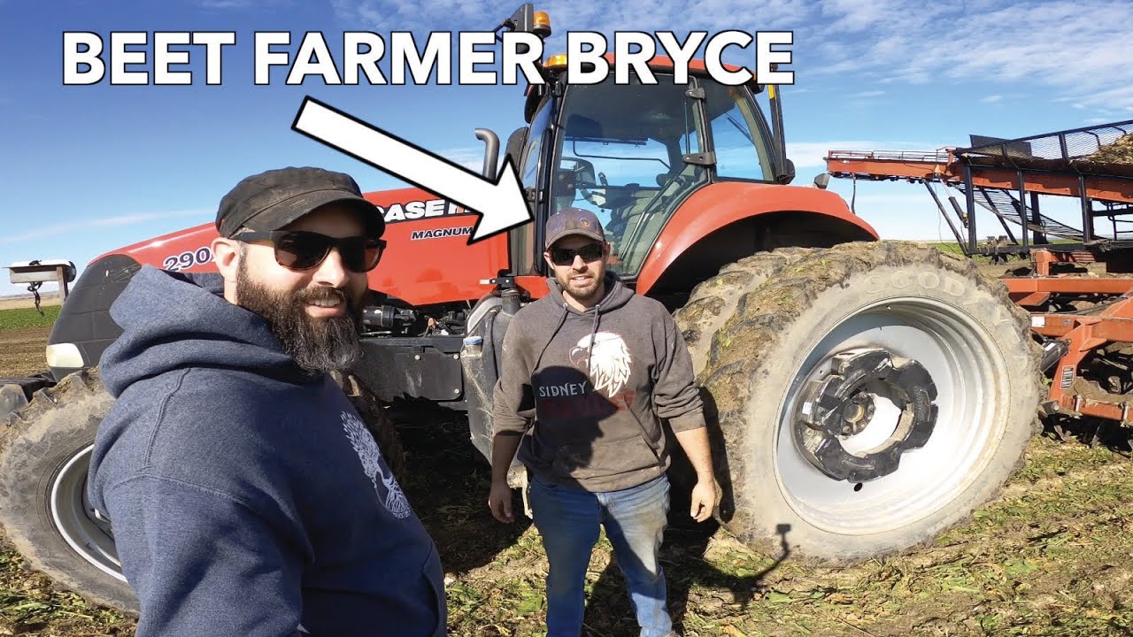 2022 Sugar Beet Harvest - How the Beet Digger Works - YouTube