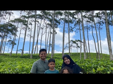 Wisata Kebun Teh Kaba Wetan, Kepahiang Prov Bengkulu - YouTube