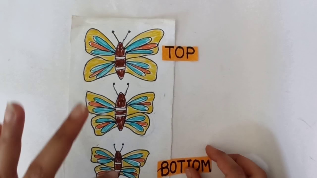 Top Bottom concept for Kids - YouTube