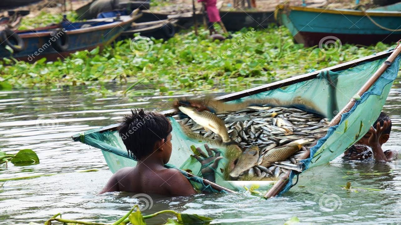 Amazing people Fishing - How To Catch Fish Using Bare Hand and Net ...