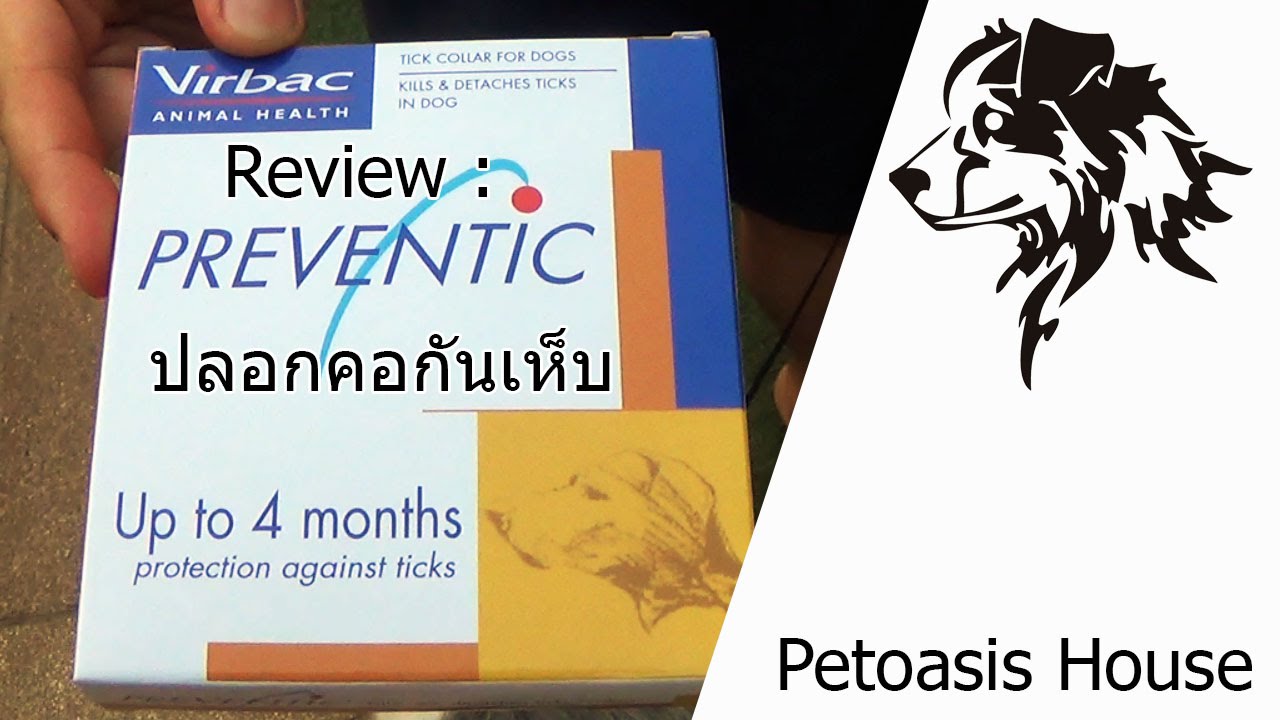 Review : ปลอกคอกันเห็บ Preventic - YouTube