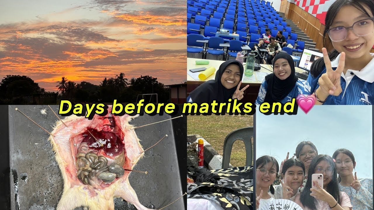 Last few weeks in matriks KMPP ( gift exchanges, silang budaya, moments ...