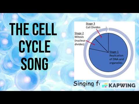 Cell Cycle Song (KS4 AQA) - YouTube