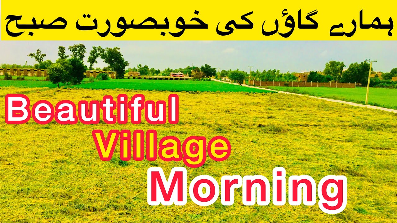 Beautiful Village Morning in Sheikhupura Punjab Pakistan | Rainy ...