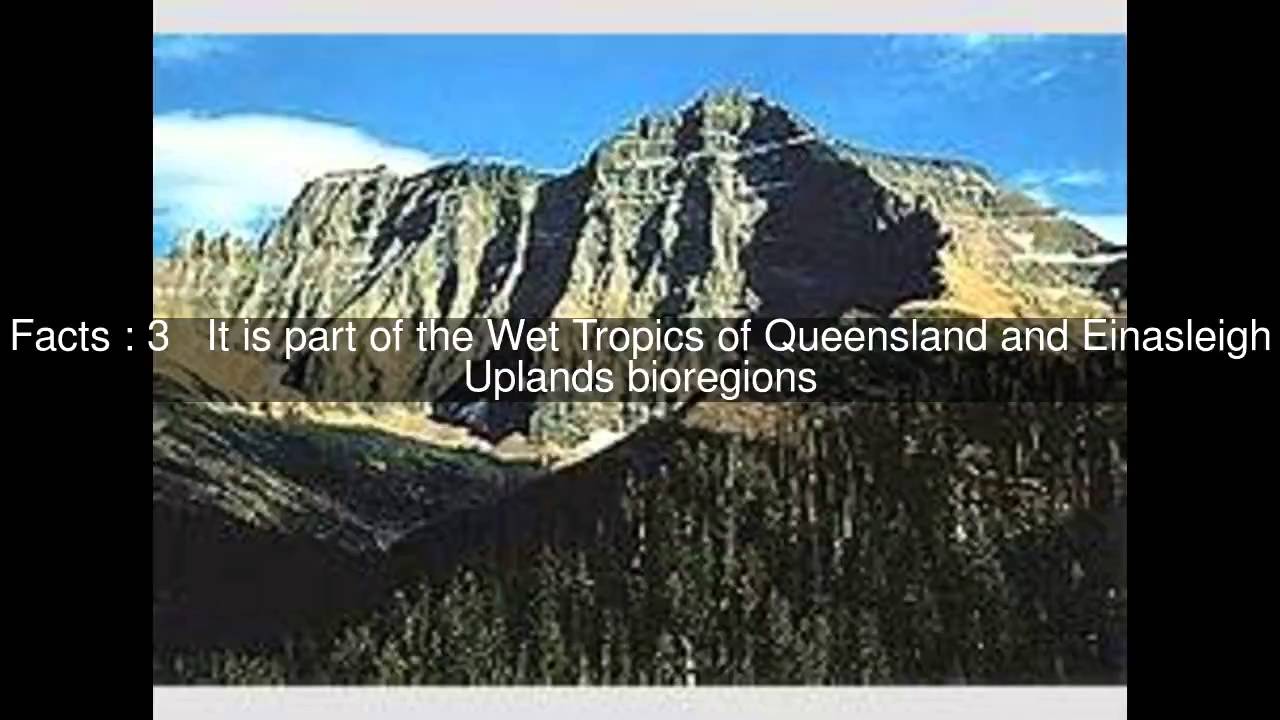 Mount Lewis National Park Top #5 Facts - YouTube