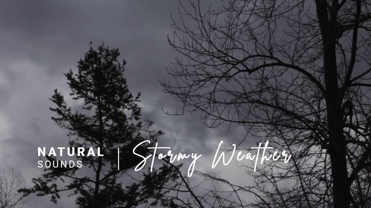 Stormy Weather sounds for relaxing and sleeping | 10 Hours - Black ...