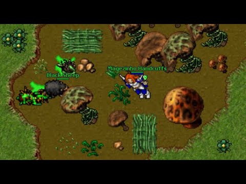 [ TIBIA ] Black Sheep [ Montaria ] - BRONSON SERVER - YouTube