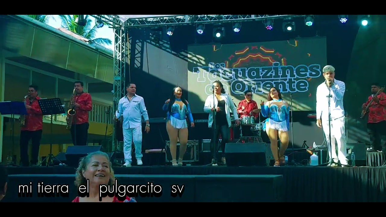 los tacuazines de oriente - YouTube