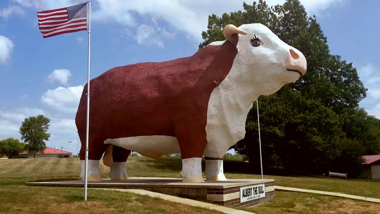 Albert - World's Largest Bull - Audubon, Iowa - YouTube