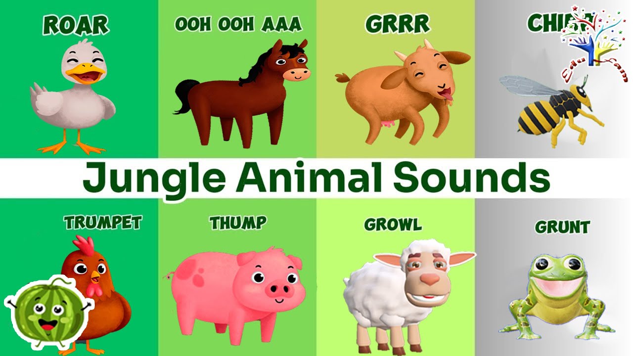 Animal Sound Song || What Sound Does The Animals Make? AM6AS3 || EduFam ...
