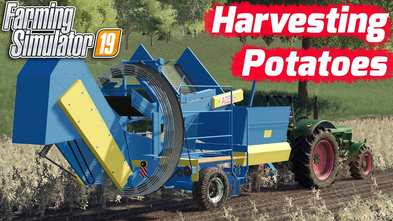 Farming Simulator 19 | Harvesting Potatoes !! - YouTube
