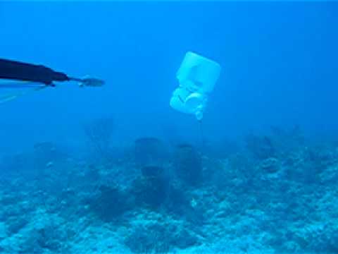 Bang stick Powerhead Punta Explosiva - YouTube