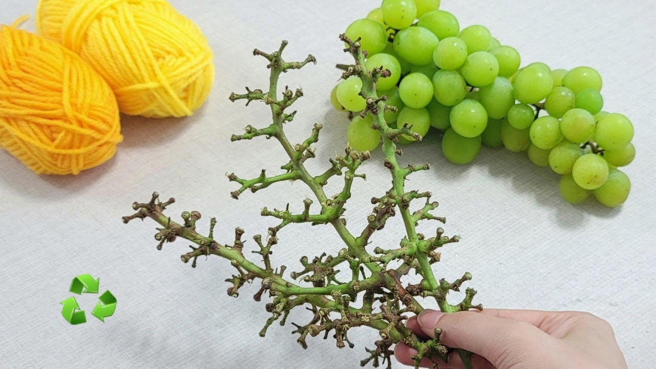 WOW!! Look at what I did with the grape branches I found in the trash ...