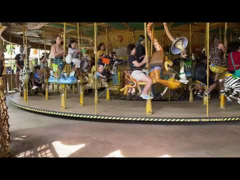 Universal Studio  - Madagascar Ride
