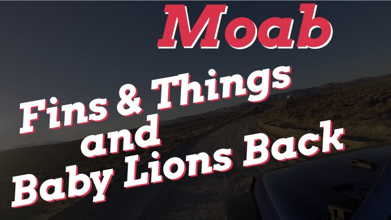 Wheeling Moab - Fins & Things & Baby Lions Back - YouTube