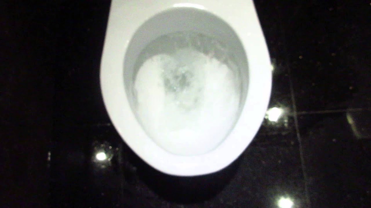 2014 Wall Mounted Saniton toilet with a Auto Flush - YouTube