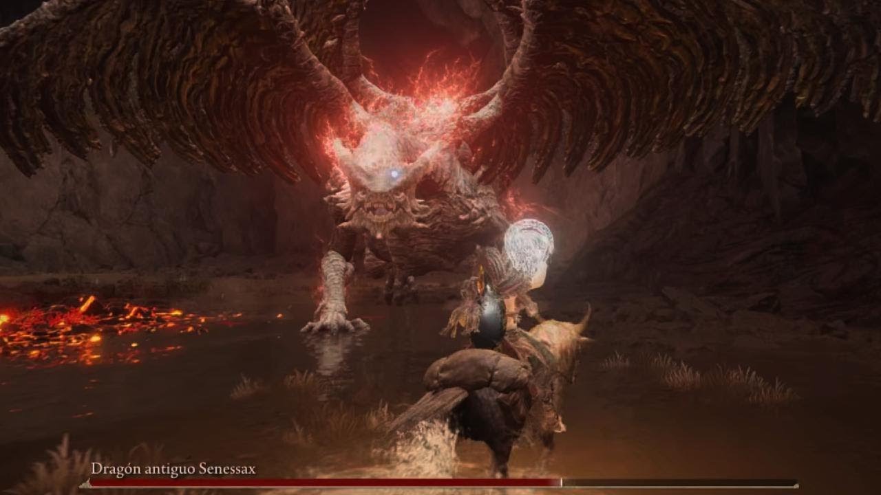 ELDEN RING Dragon antiguo Senessax - YouTube