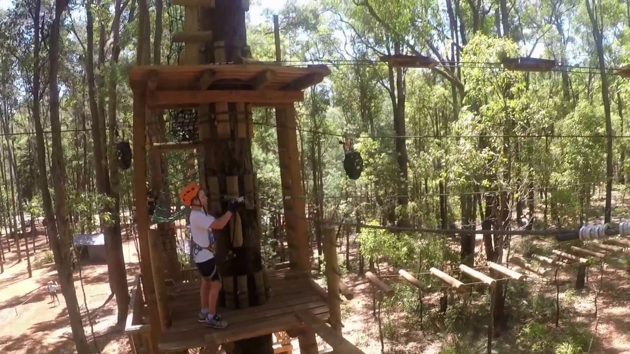 Trees Adventure Dwellingup - YouTube