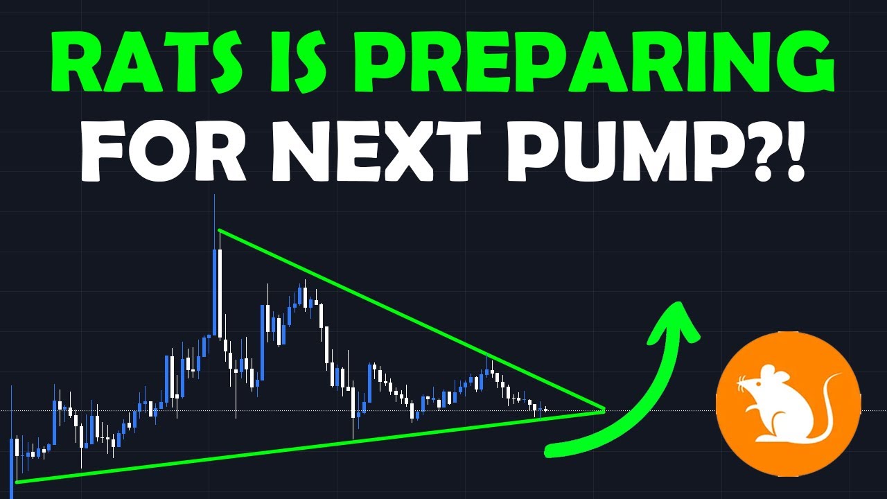 RATS IS PREPARING FOR THE NEXT PUMP?! HERE IS WHAT YOU NEED TO KNOW 🚨 ...