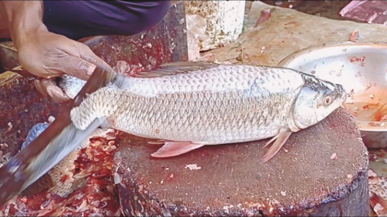 🔥🗡রুই ফিস কাটিং||Fastest big Rui Fish Cutting in Fish Market||Fish ...