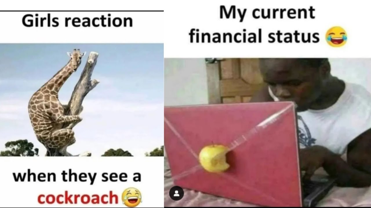 funny memes|Hilarious memes|Memes by me|legendary memes|Memes that only ...