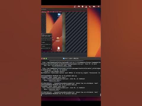 PyTorch Data Loader (PyTorch Tutorial) #python #shorts - YouTube