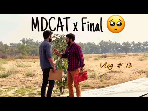 MDCAT x Final | Vlog # 13 | Maddy Gallery | - YouTube