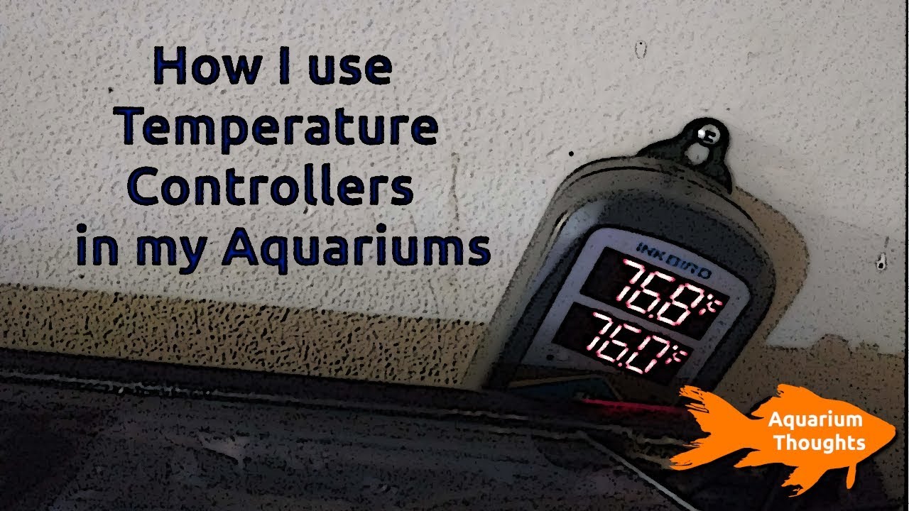 Why/How I use a temperature controller... - Aquarium Thoughts - YouTube